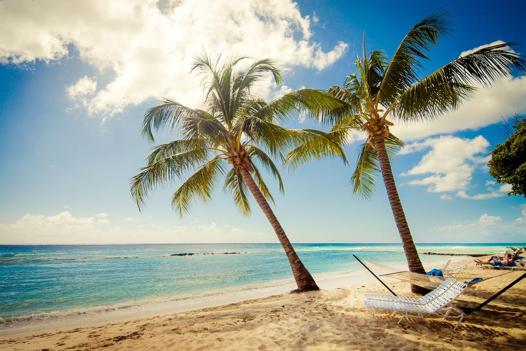 Travel to Barbados - COVID-19 Entry Requirements - Focus on Travel News